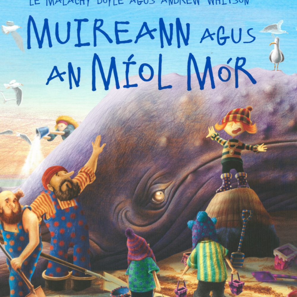 Fanad Lighthouse | Shop