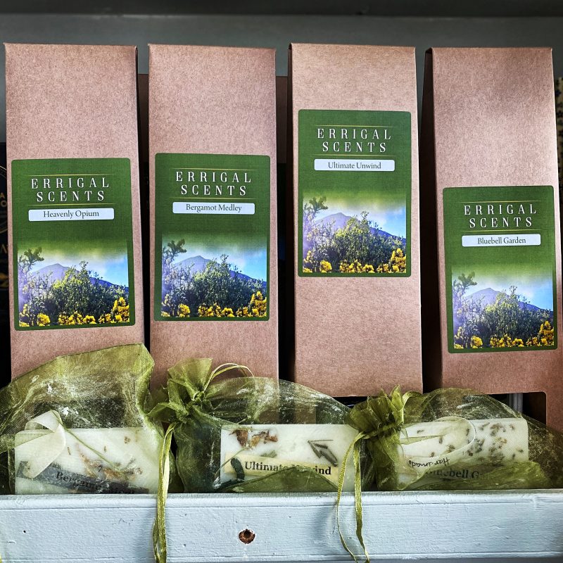 Socks - Fanad Lighthouse - Fanad Lighthouse